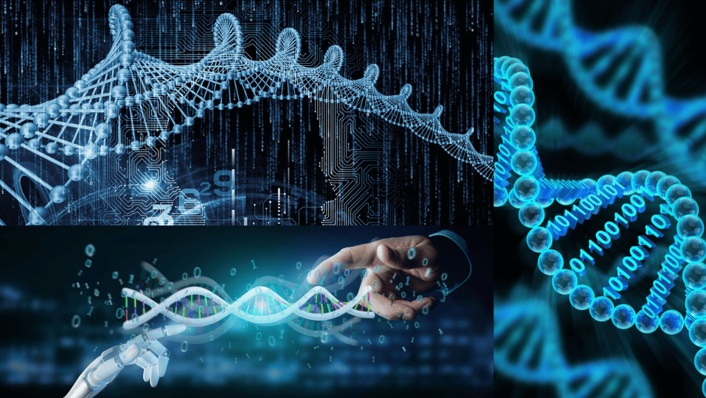 Υπολογιστικές μηχανές από... DNA | ΕΦΣΥΝ